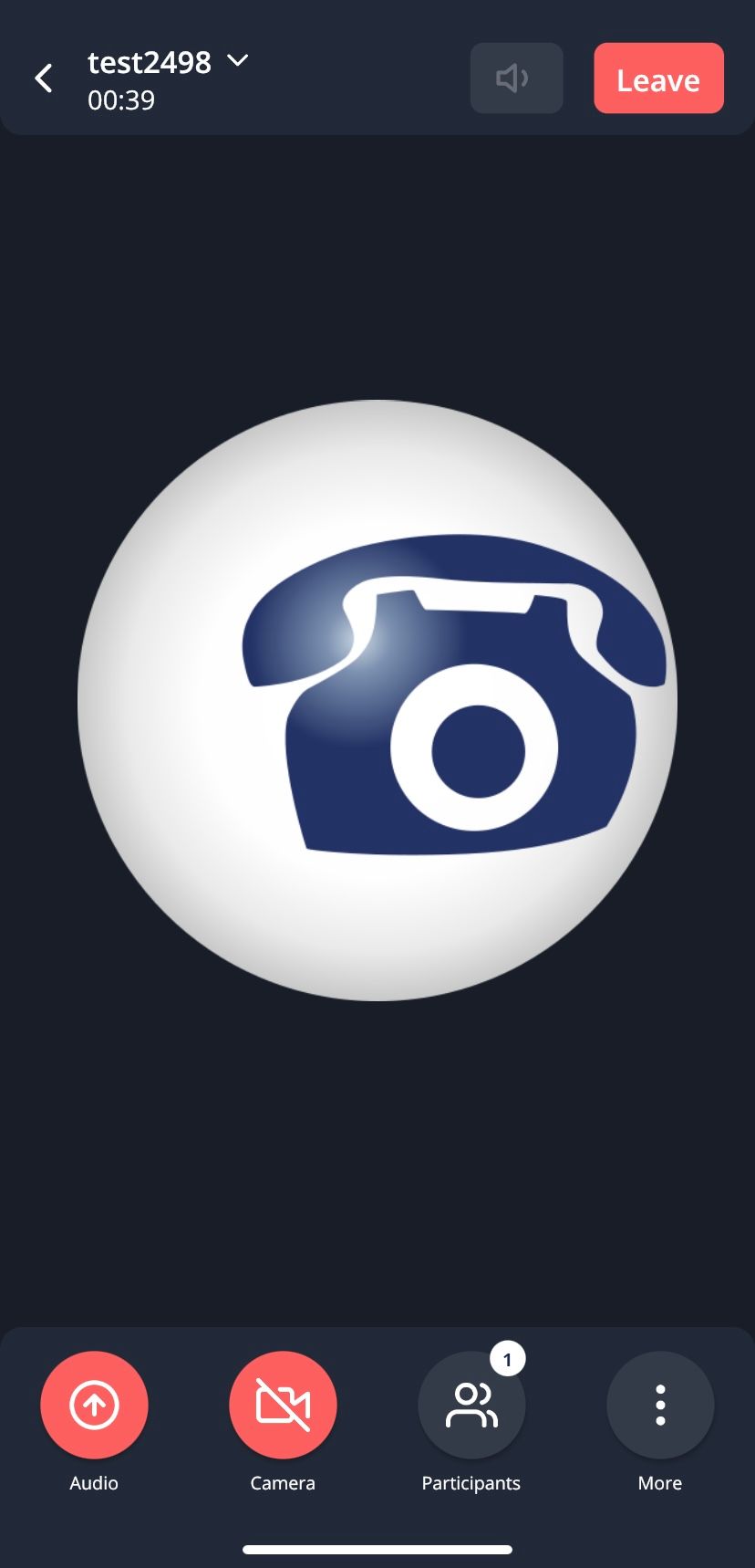 Go to our app and select the red Audio button