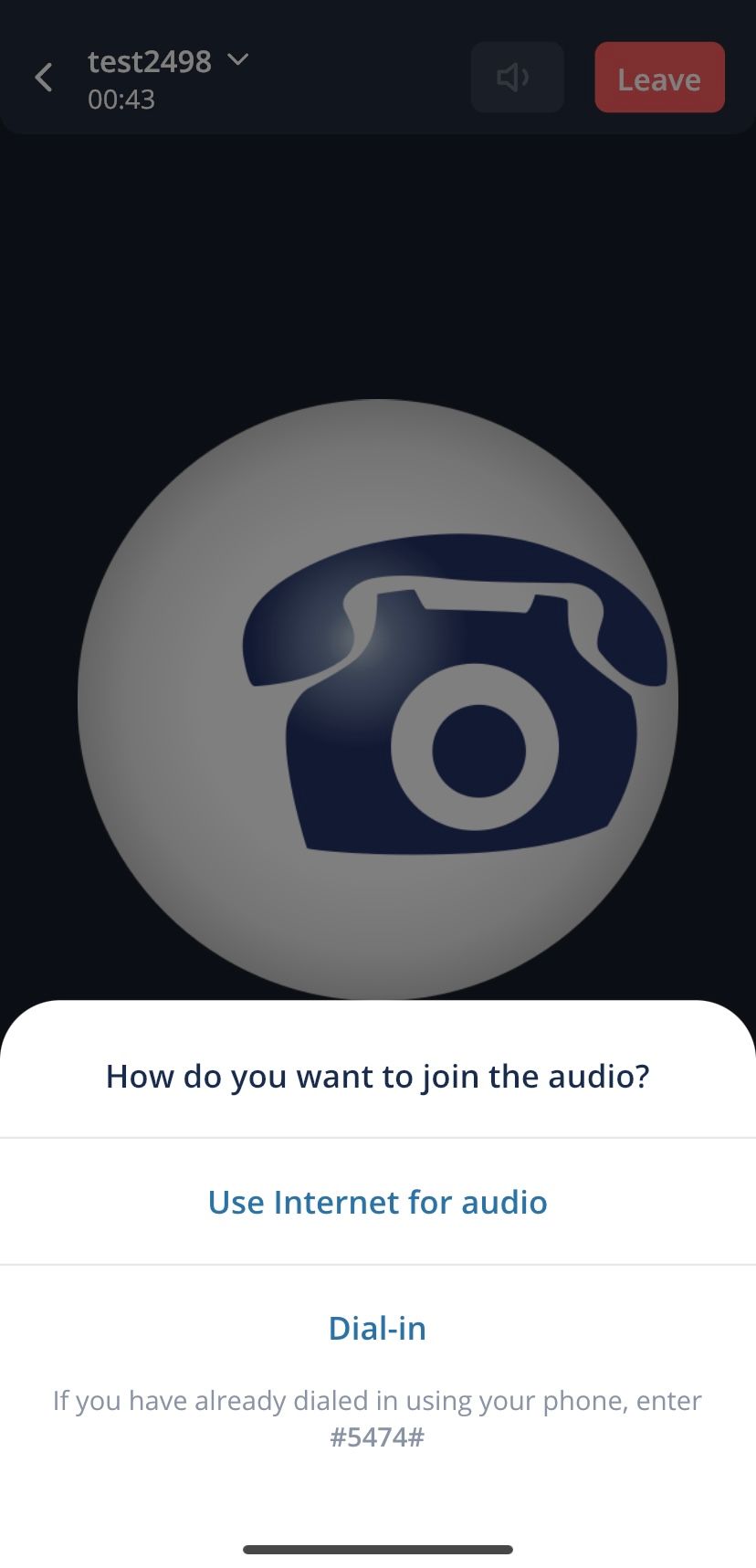 Choose " Use Internet for audio